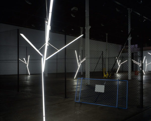Martin Boyce – Centre d’Art Contemporain Genève